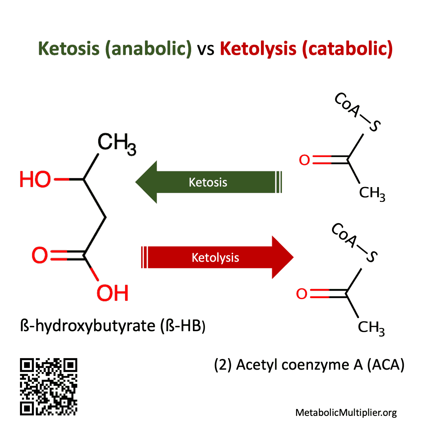 Define Medical Term Ketolysis at Pearl Brandon blog